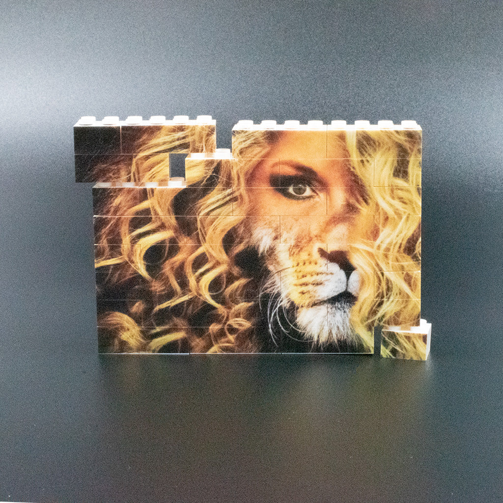 single upload image building bricks